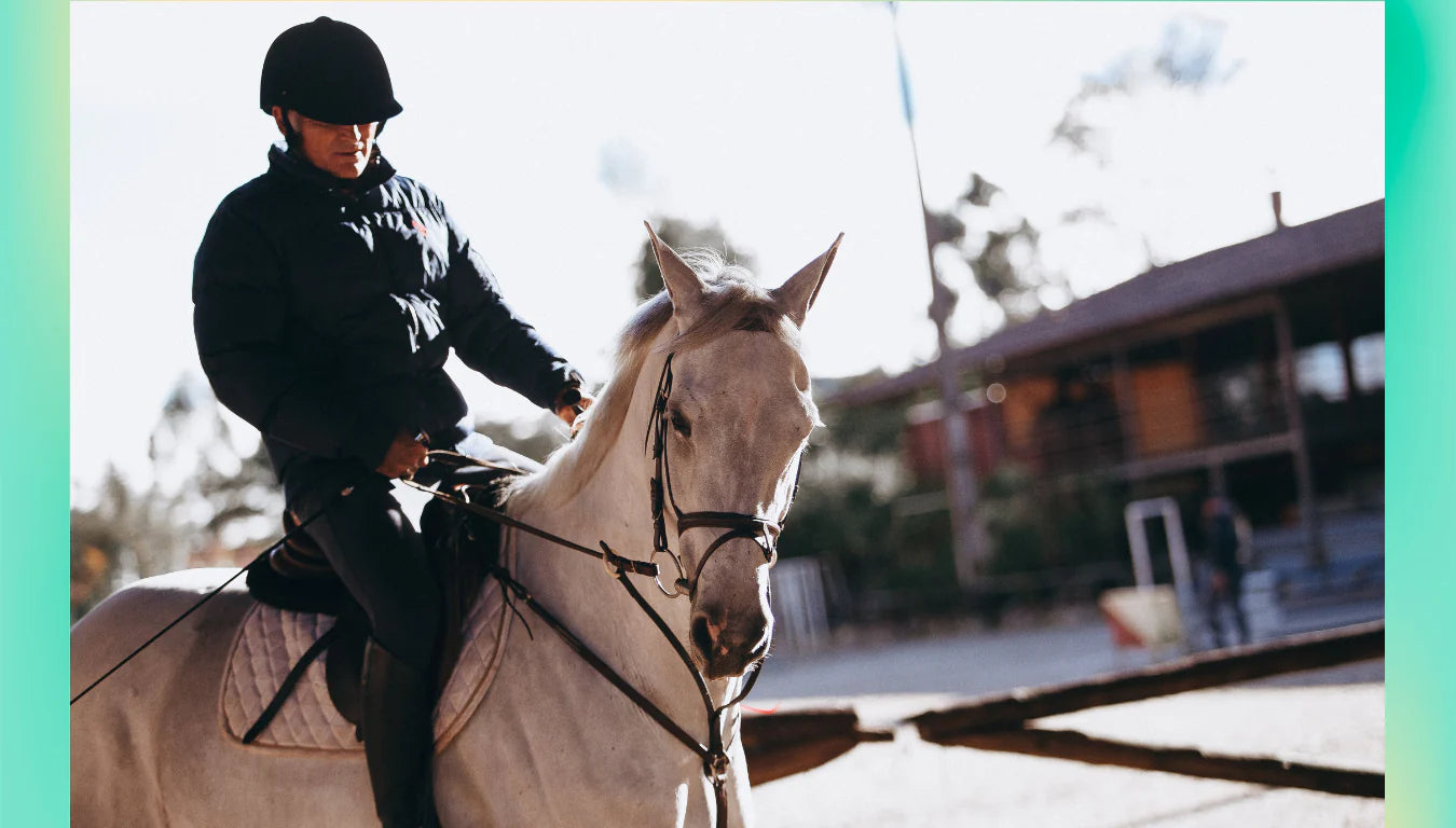 Lateral Work: Tips Suitable for All Horses – www.pivoequestrian.com