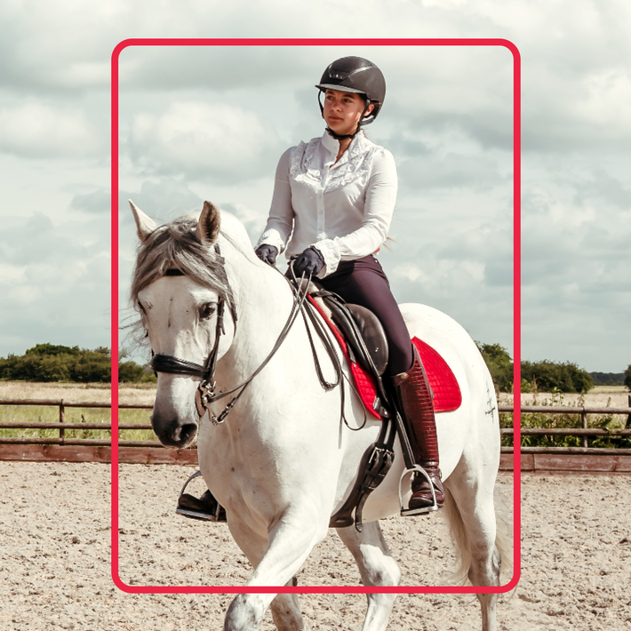 Pivo Equestrian – www.pivoequestrian.com