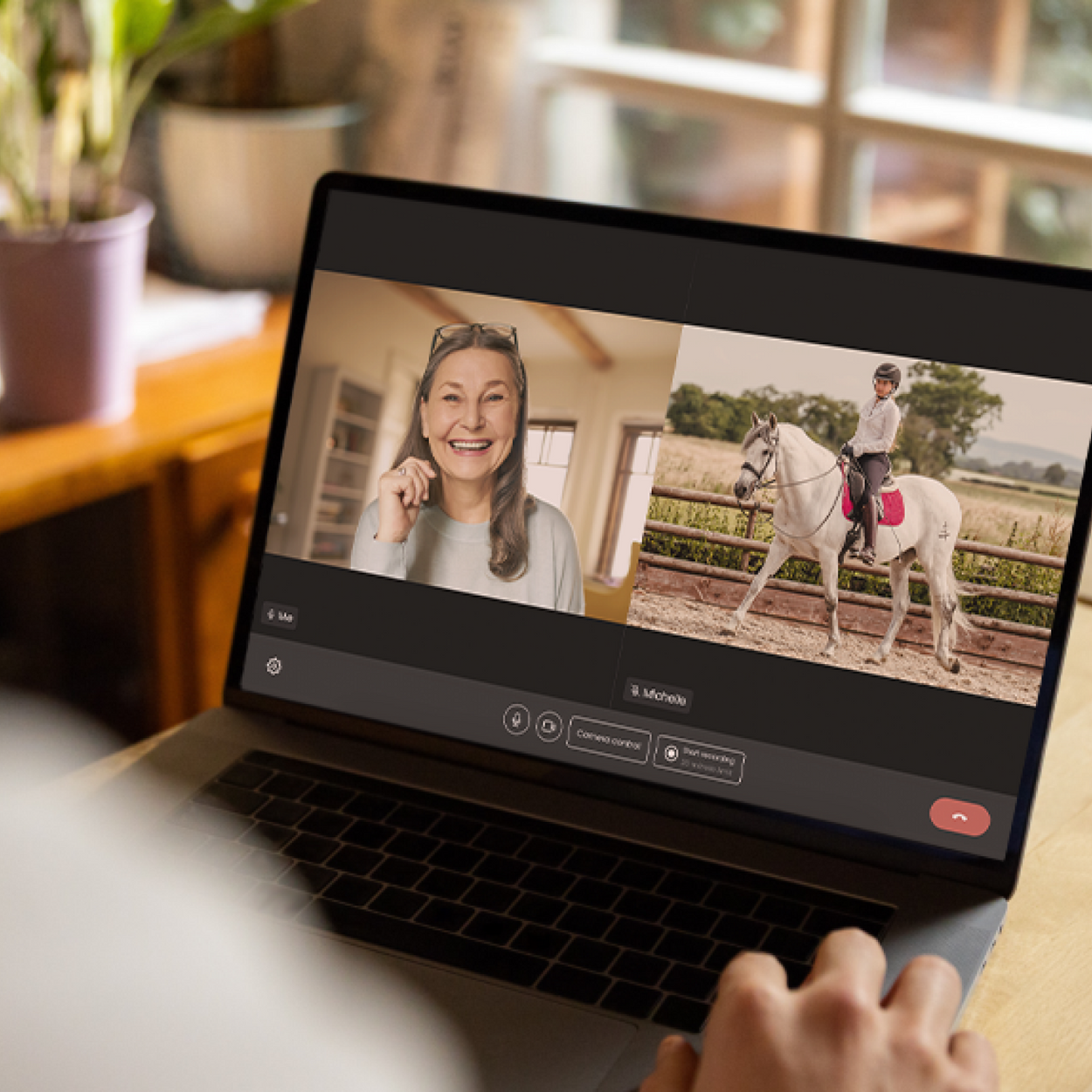 Pivo Plans – www.pivoequestrian.com