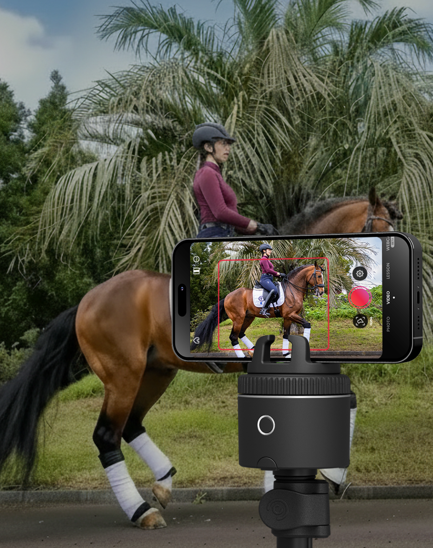 Pivo Equestrian – www.pivoequestrian.com